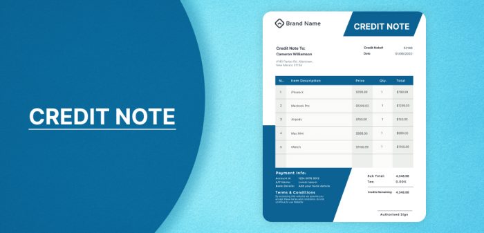 Debit Note vs Credit Note : Detailed comparison - Moon Invoice
